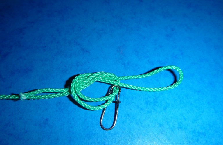 4 nœuds de pêche faciles et efficaces à connaître pour bien débuter